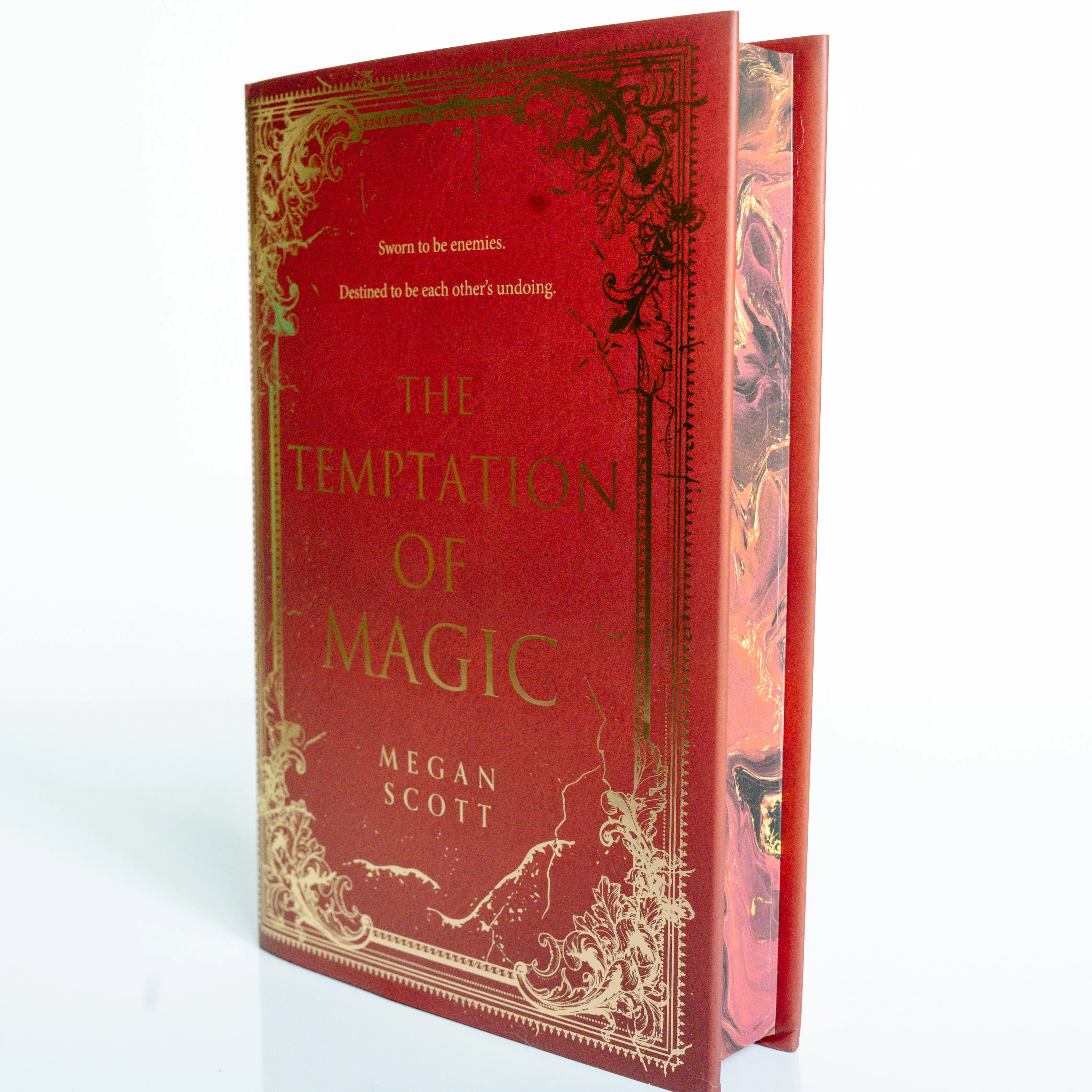 PAST BOXES: YA Book-Only Subscription – FairyLoot