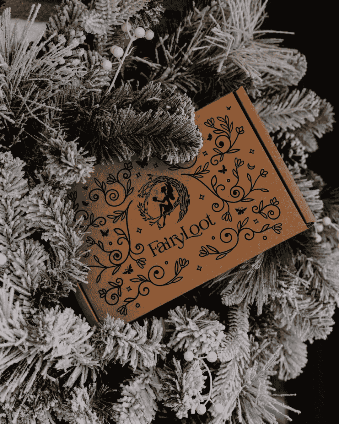 PAST BOXES: YA Book + Items Subscription – FairyLoot